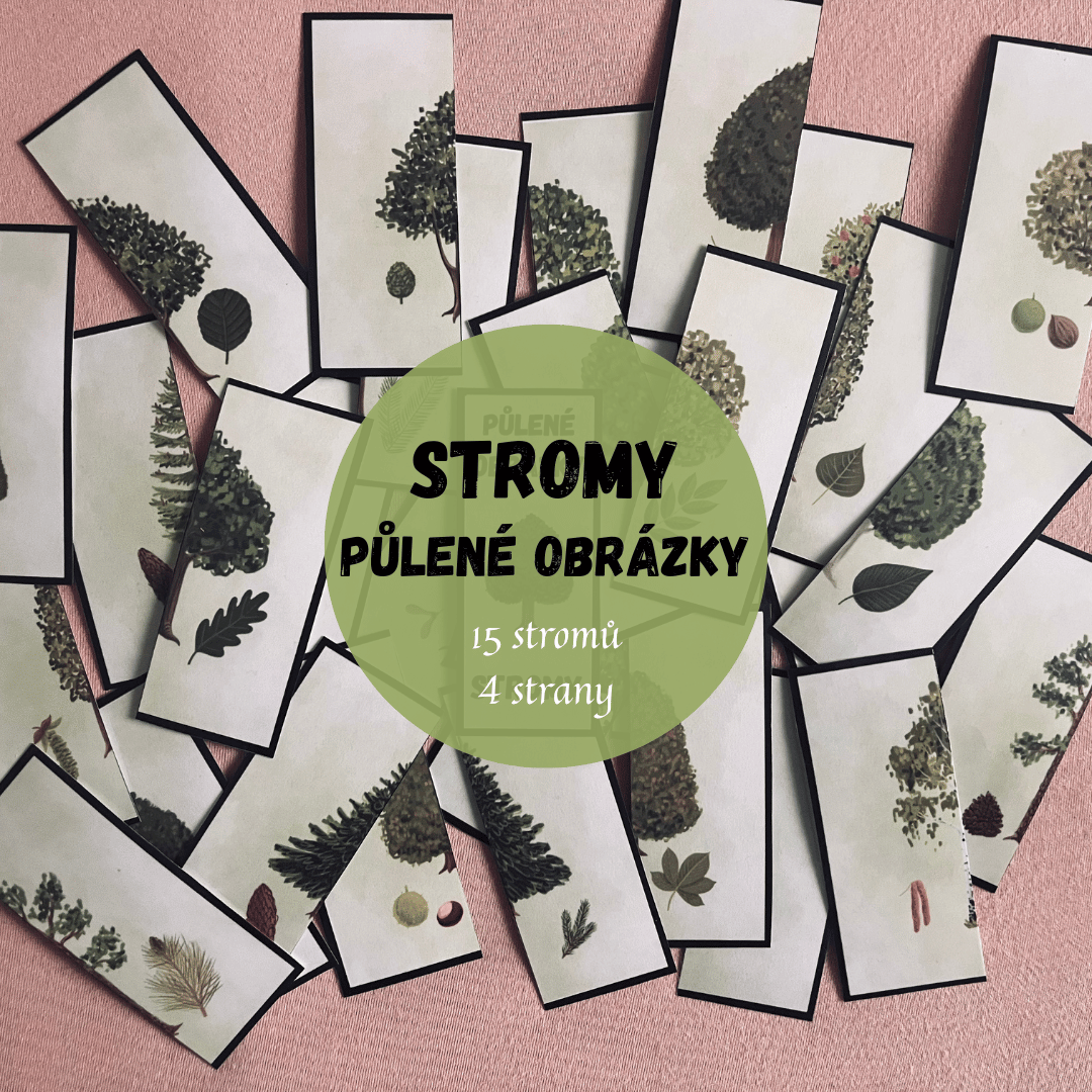 STROMY - PŮLENÉ OBRÁZKY - Prvouka | UčiteléUčitelům.cz